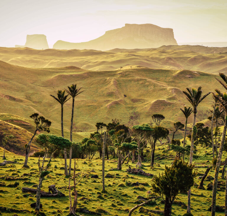 The Chatham Islands – Like New Zealand Only different